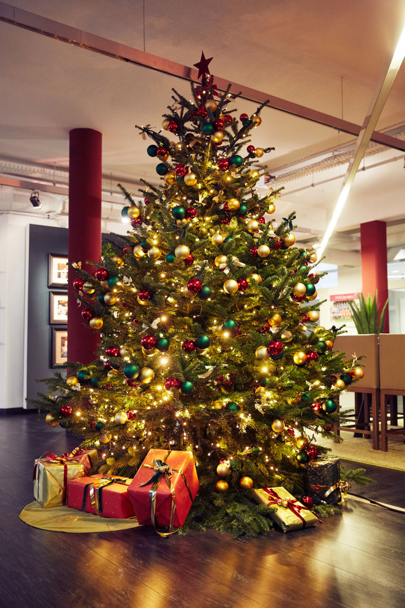 Galerie • Christbaum Service®